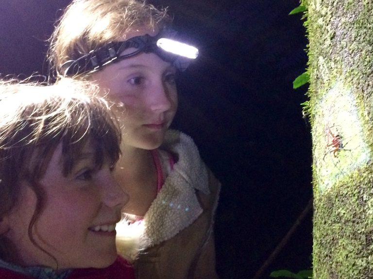 A dusk to dawn bush experience - Bay Waka